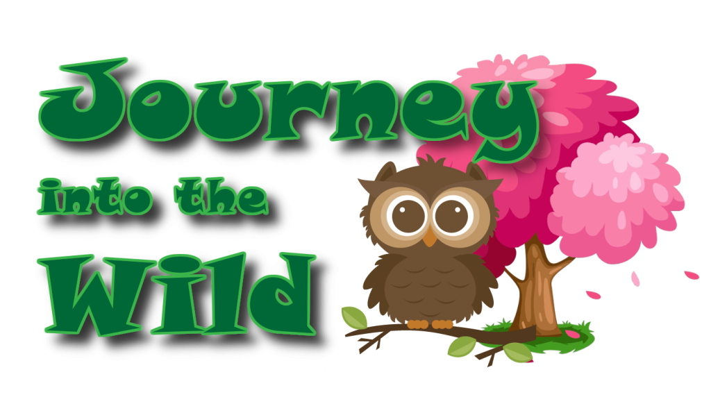 Journeys Resource – K12 Journey Classes