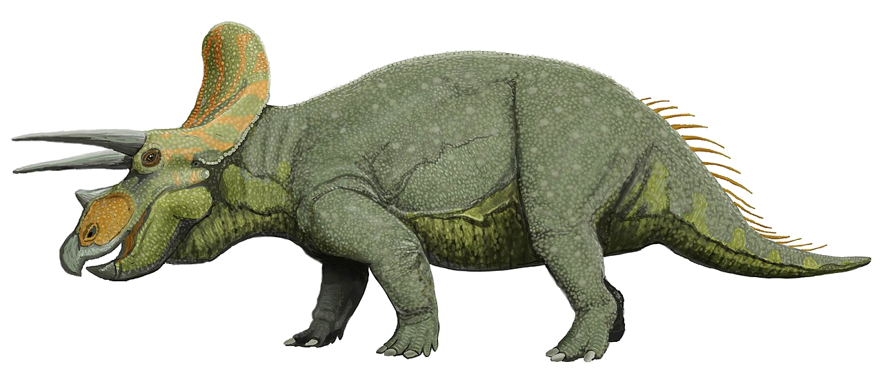 Triceratops – Journeys Resource