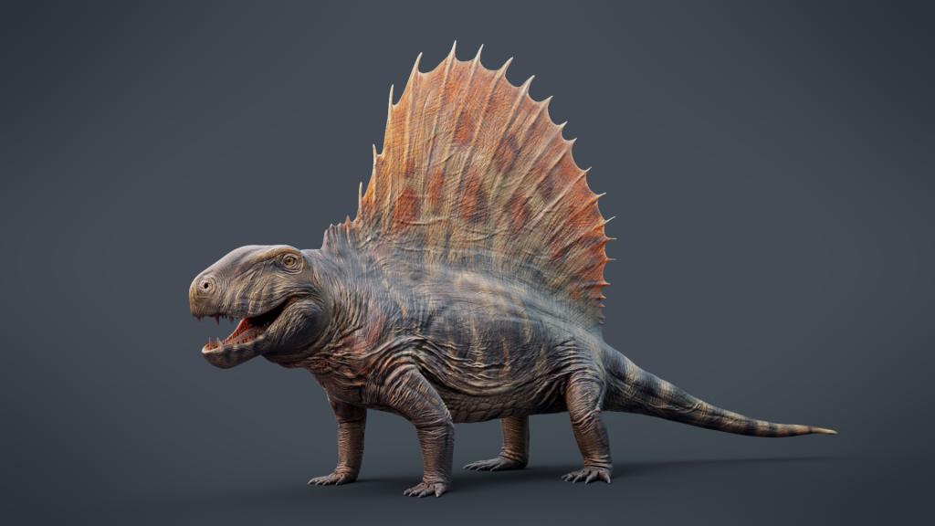 Dimetrodon – Journeys Resource