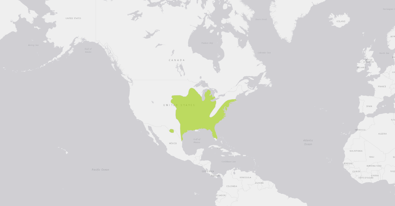 Moles – Journeys Resource