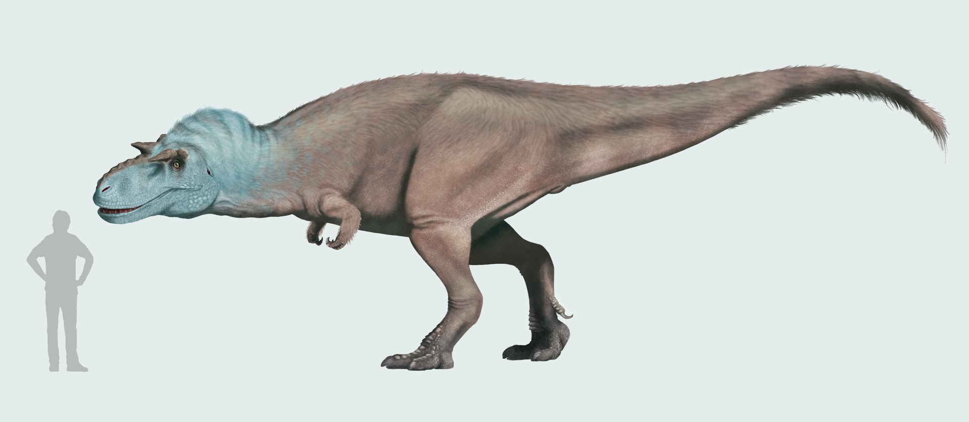 Gorgosaurus – Journeys Resource