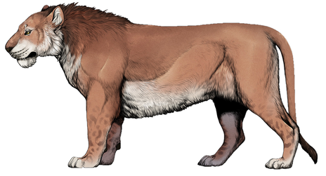 Cave Lion – Journeys Resource