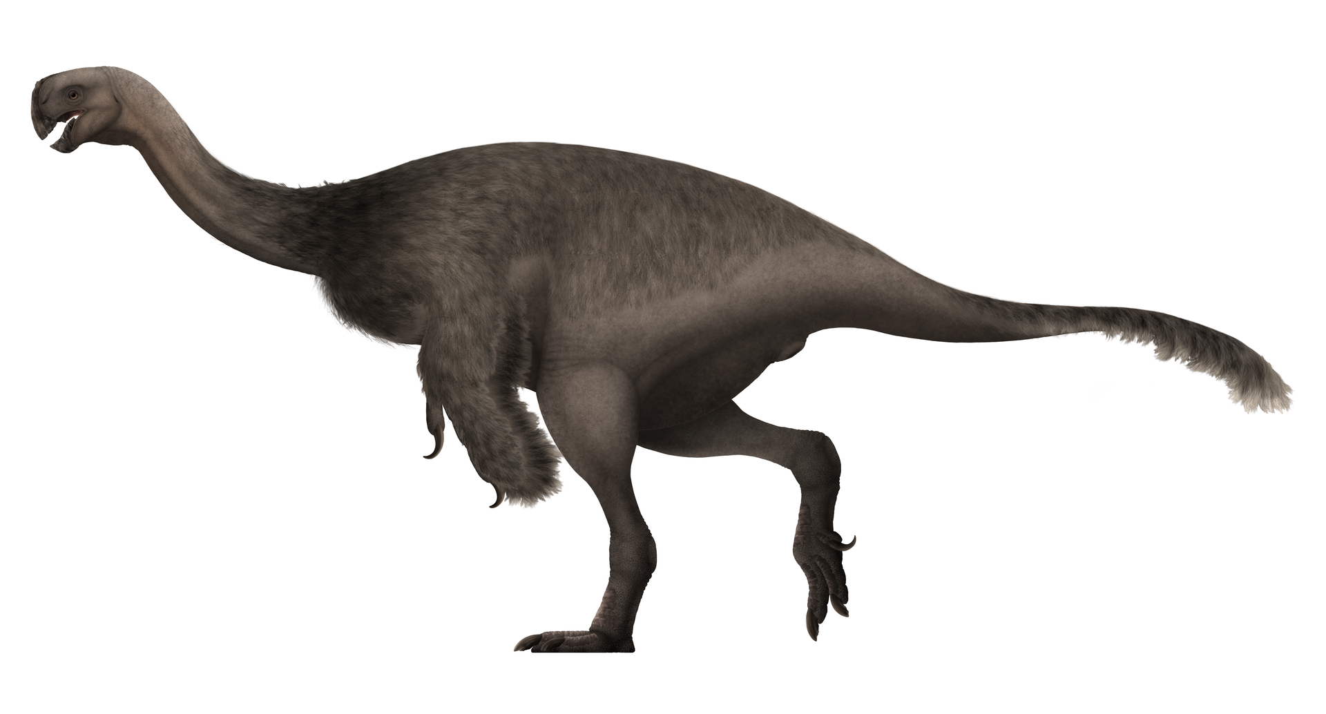 Gigantoraptor – Journeys Resource