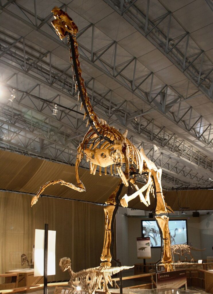 Gigantoraptor – Journeys Resource